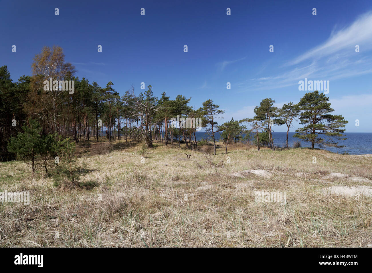 National park wollin hi-res stock photography and images - Alamy