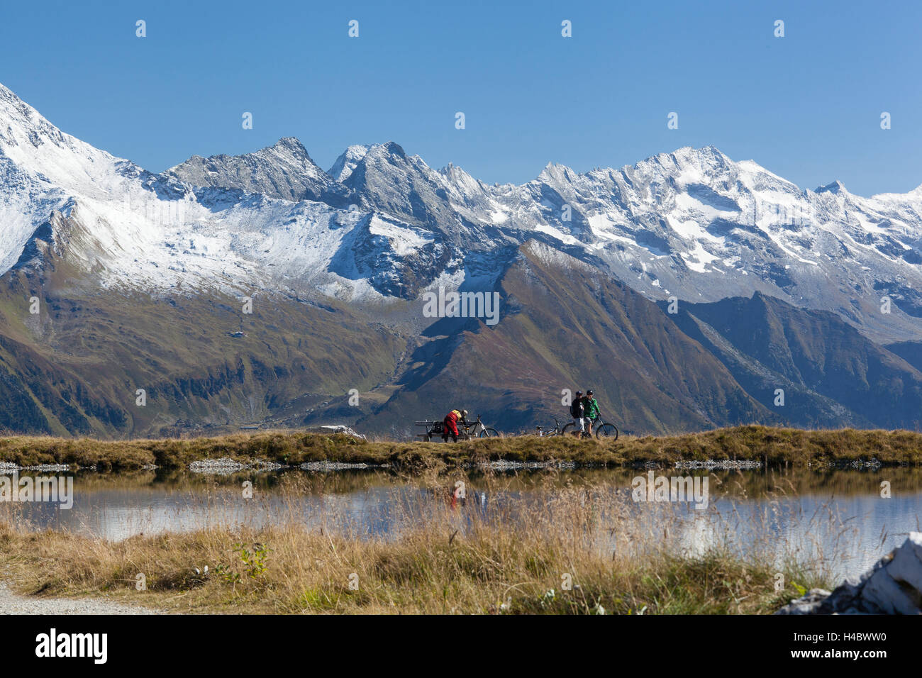 Alpine landscape at the Penken with view to the Zillerkamm and Ahorn ...