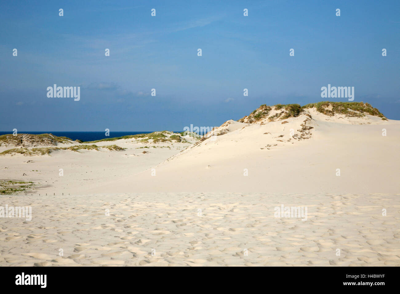 Minidesert hi-res stock photography and images - Alamy