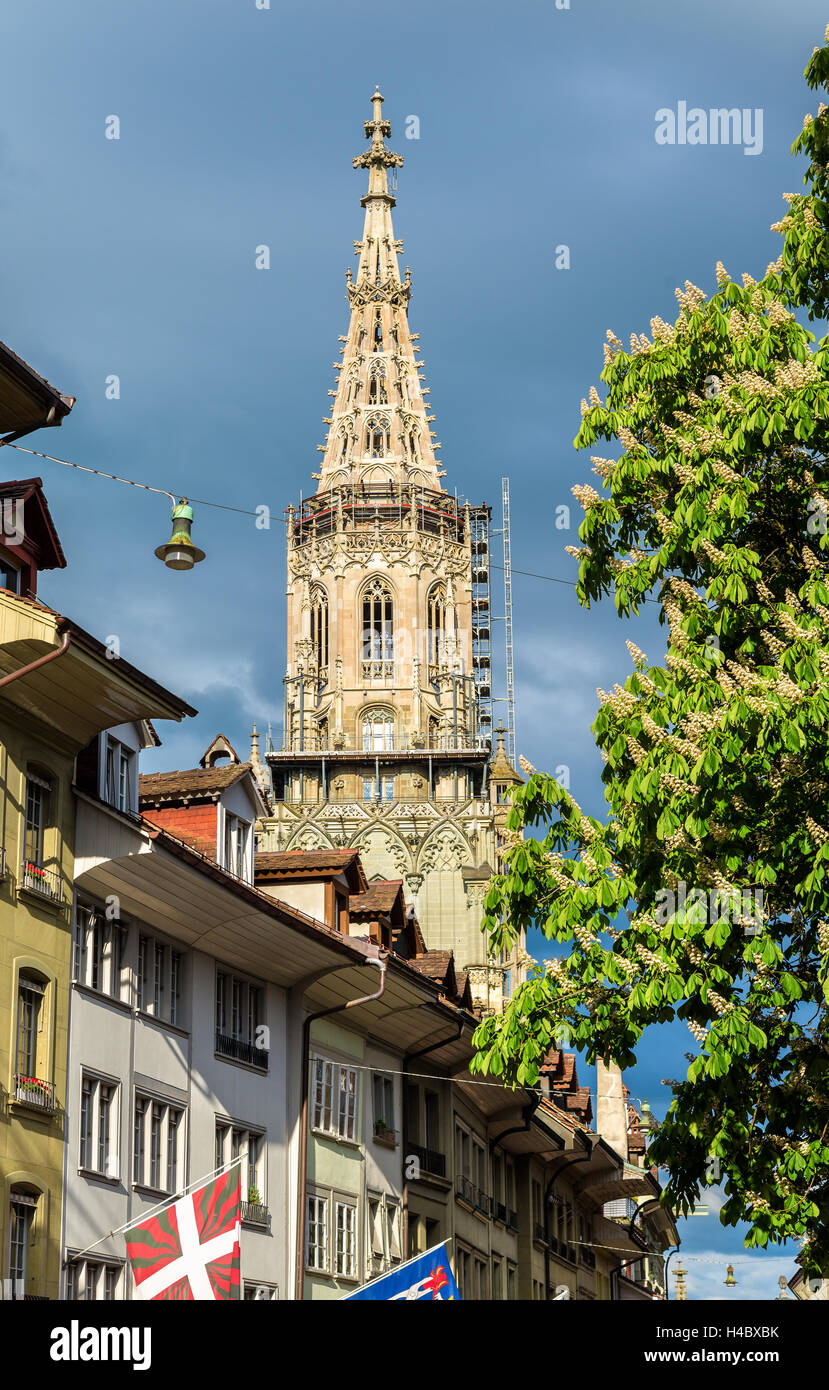 View of the Bern Minster - Switzerland Stock Photo - Alamy