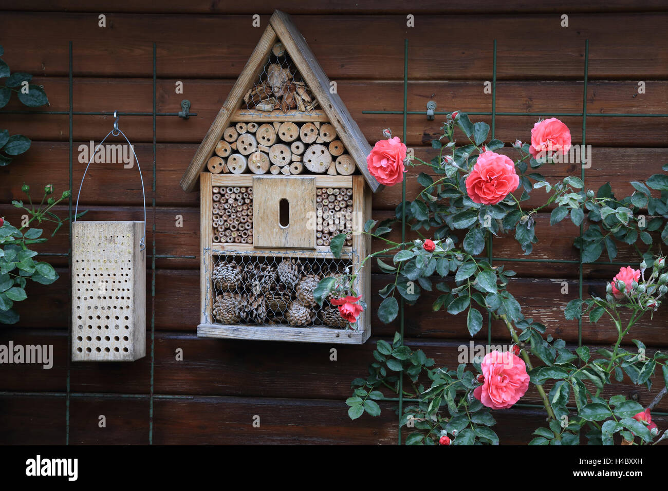 Insect hotel shed hi-res stock photography and images - Alamy