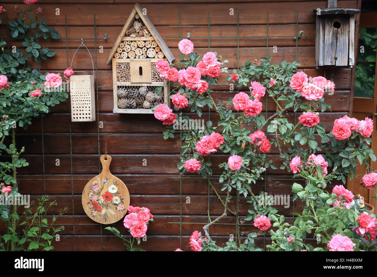 Insect hotel shed hi-res stock photography and images - Alamy