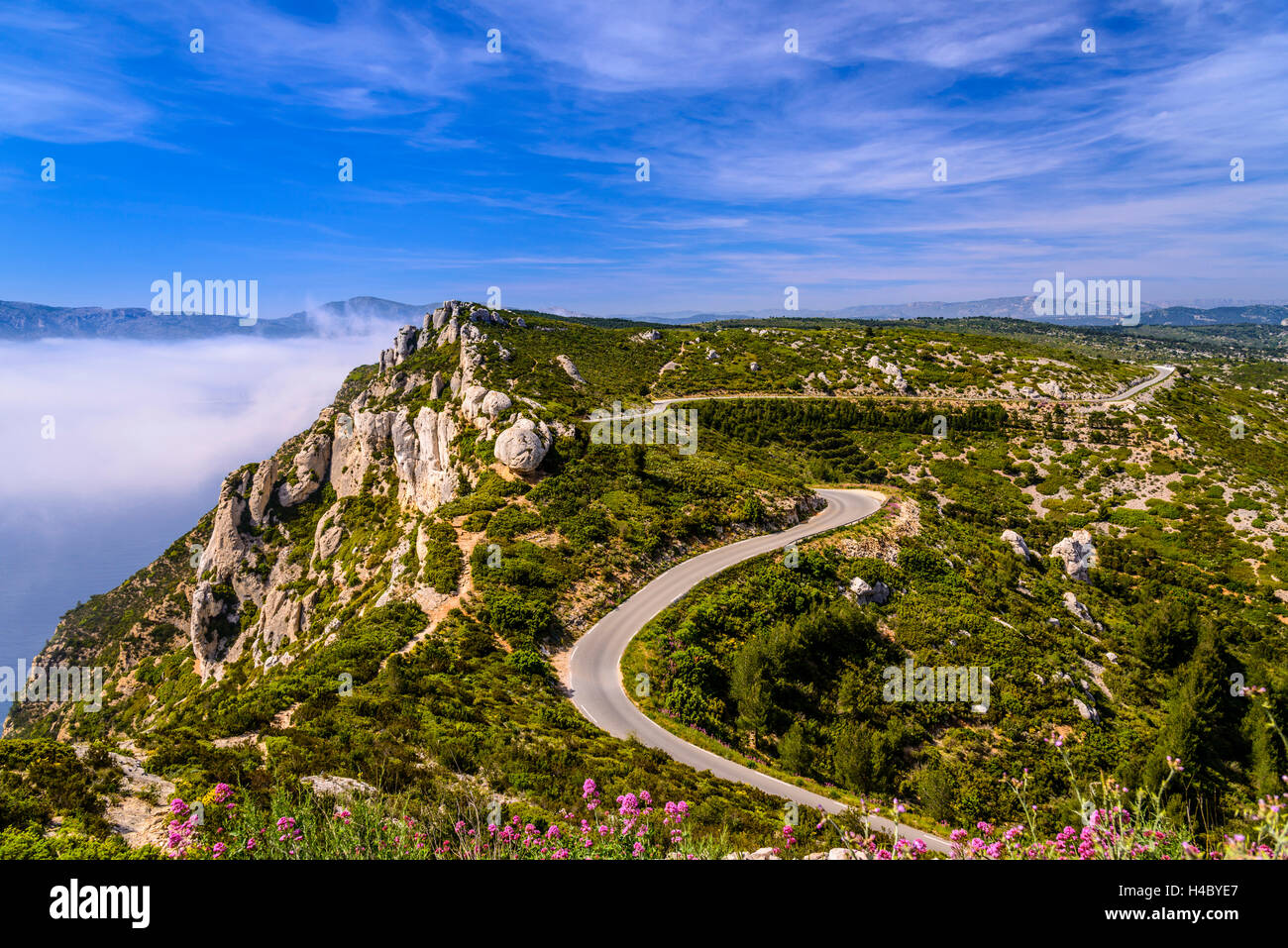 France, Provence, Bouches-du-Rhône, Riviera, Cassis, Route des CrÛtes ...