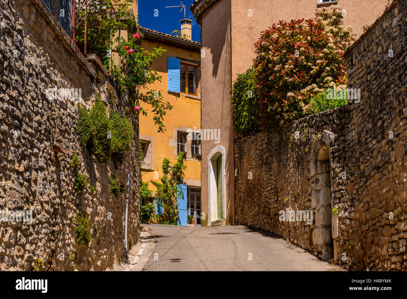 France, Provence, Vaucluse, Goult, old town alley, overgrown facade ...