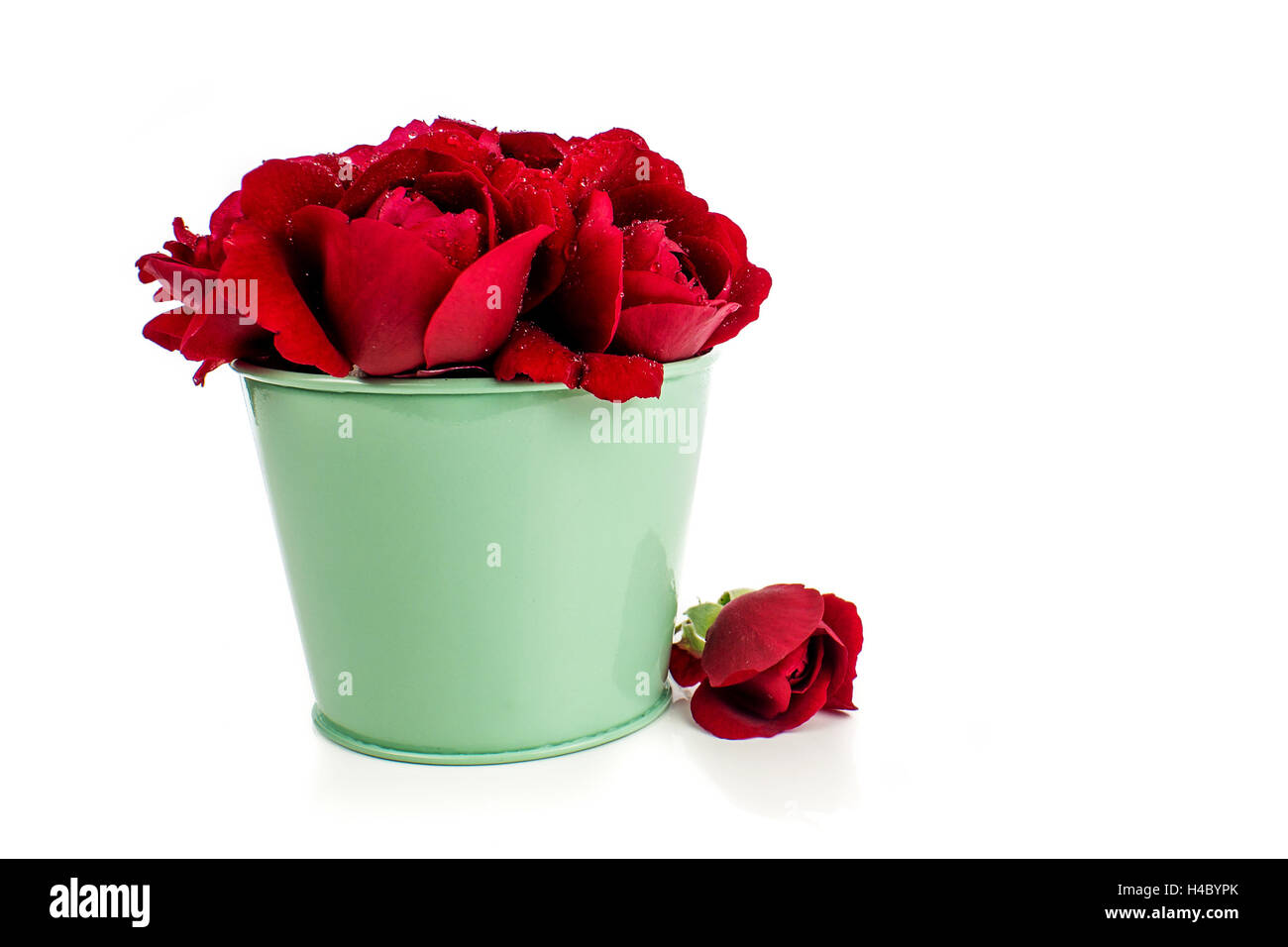 Thin plant on pot Cut Out Stock Images & Pictures - Alamy