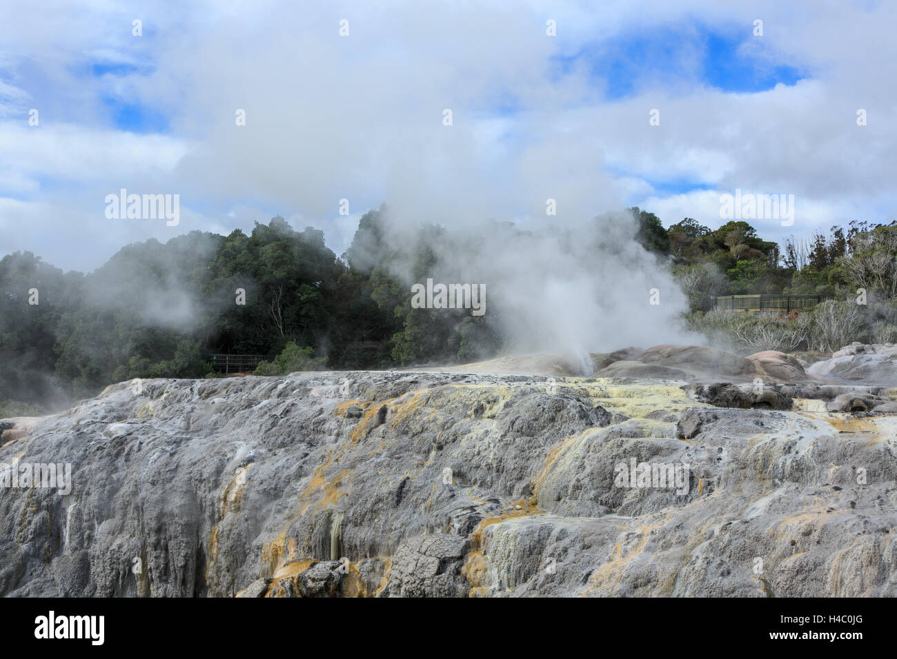 Volcanic activity in Rotorua, New Zealand Stock Photo - Alamy