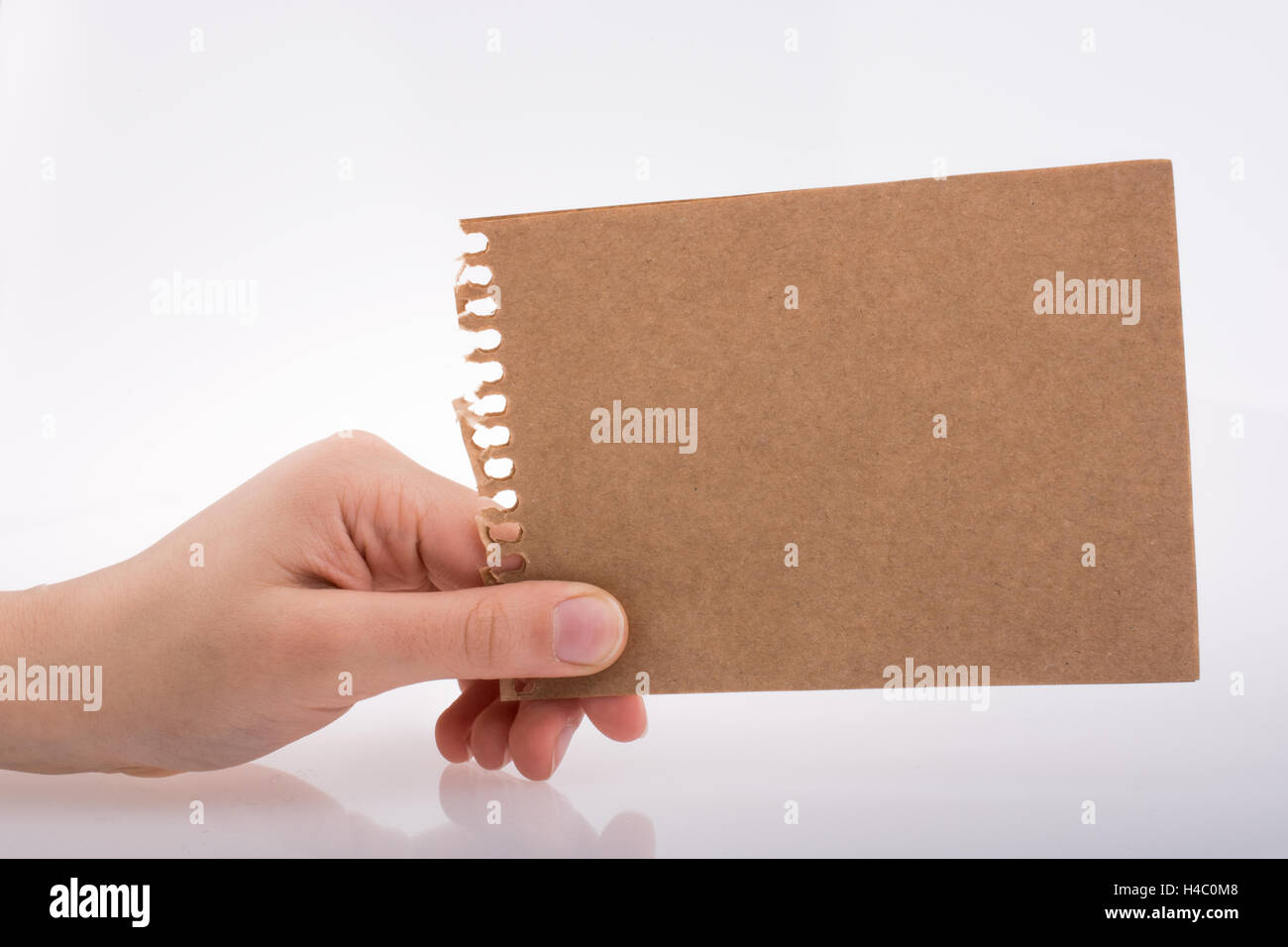 Hand holding a sheet of paper on a white background Stock Photo - Alamy