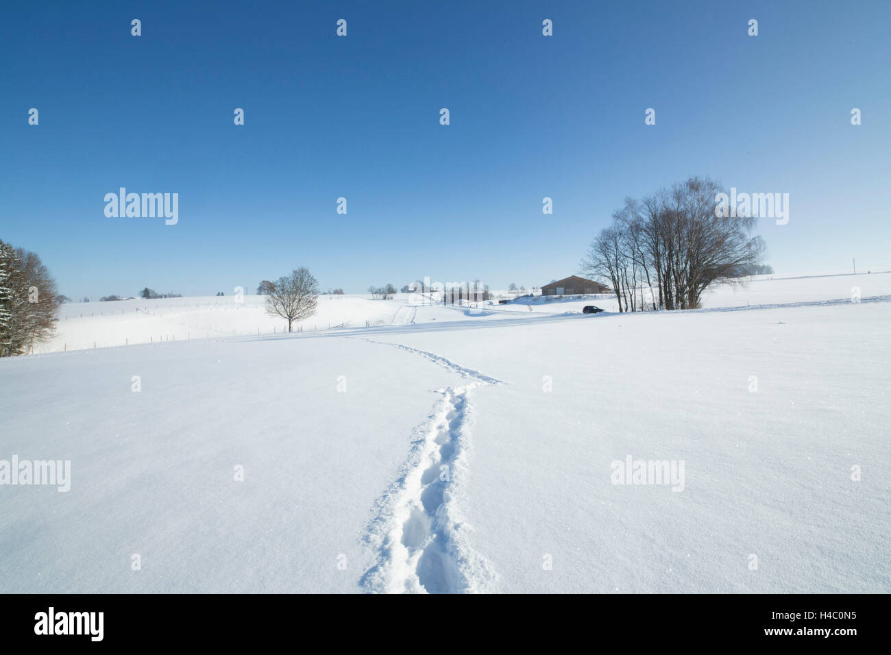 Steps in the snow, path, way, steps, footprints, snow, winter, scenery ...