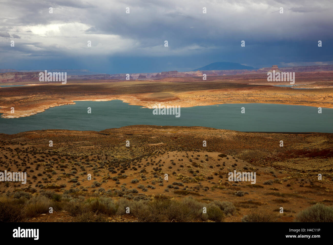 Panoramic view on famous lake Powell, Page, Utah, USA Stock Photo - Alamy