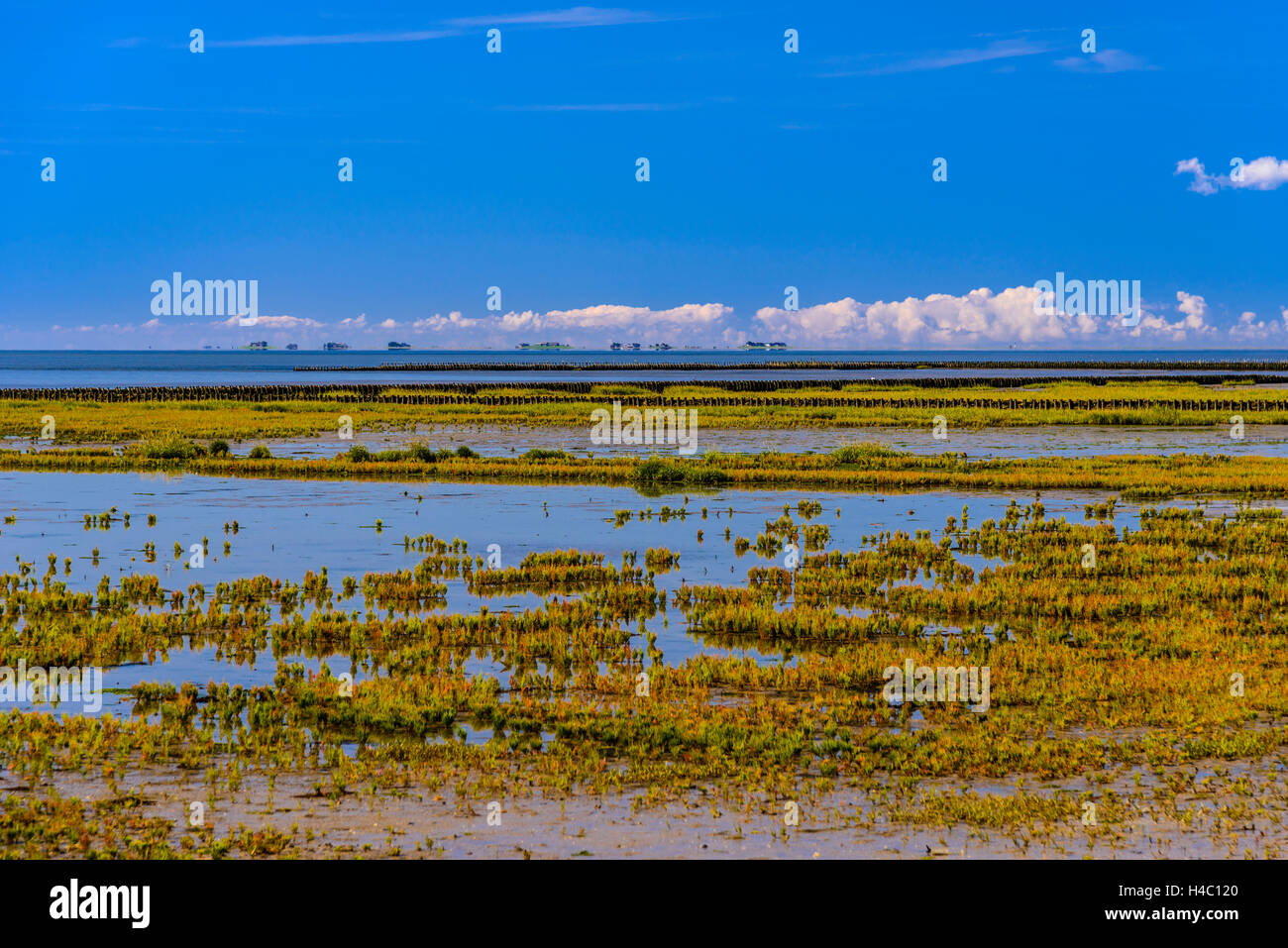 Biosphere reserve wadden sea schleswig holstein sound hi-res stock ...
