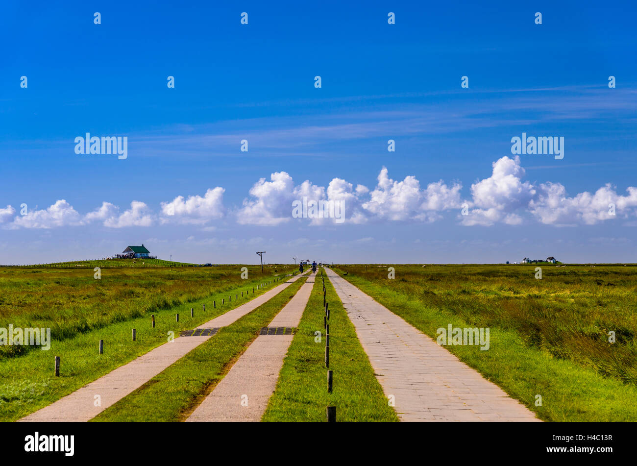 Germany, Schleswig-Holstein, North Frisia, Reußenköge, Hamburger Hallig ...