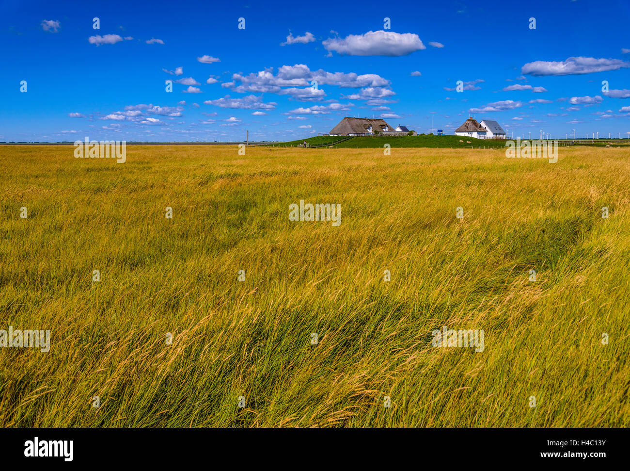 Hamburg wadden sea national park hi-res stock photography and images ...