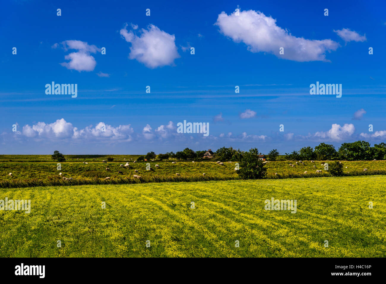 Marsh embankment hi-res stock photography and images - Alamy