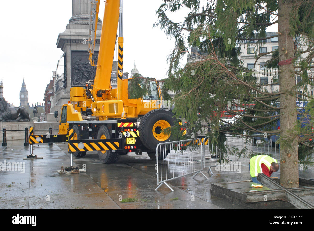 A mobile crane erects the traditional Christmas Tree in London's ...