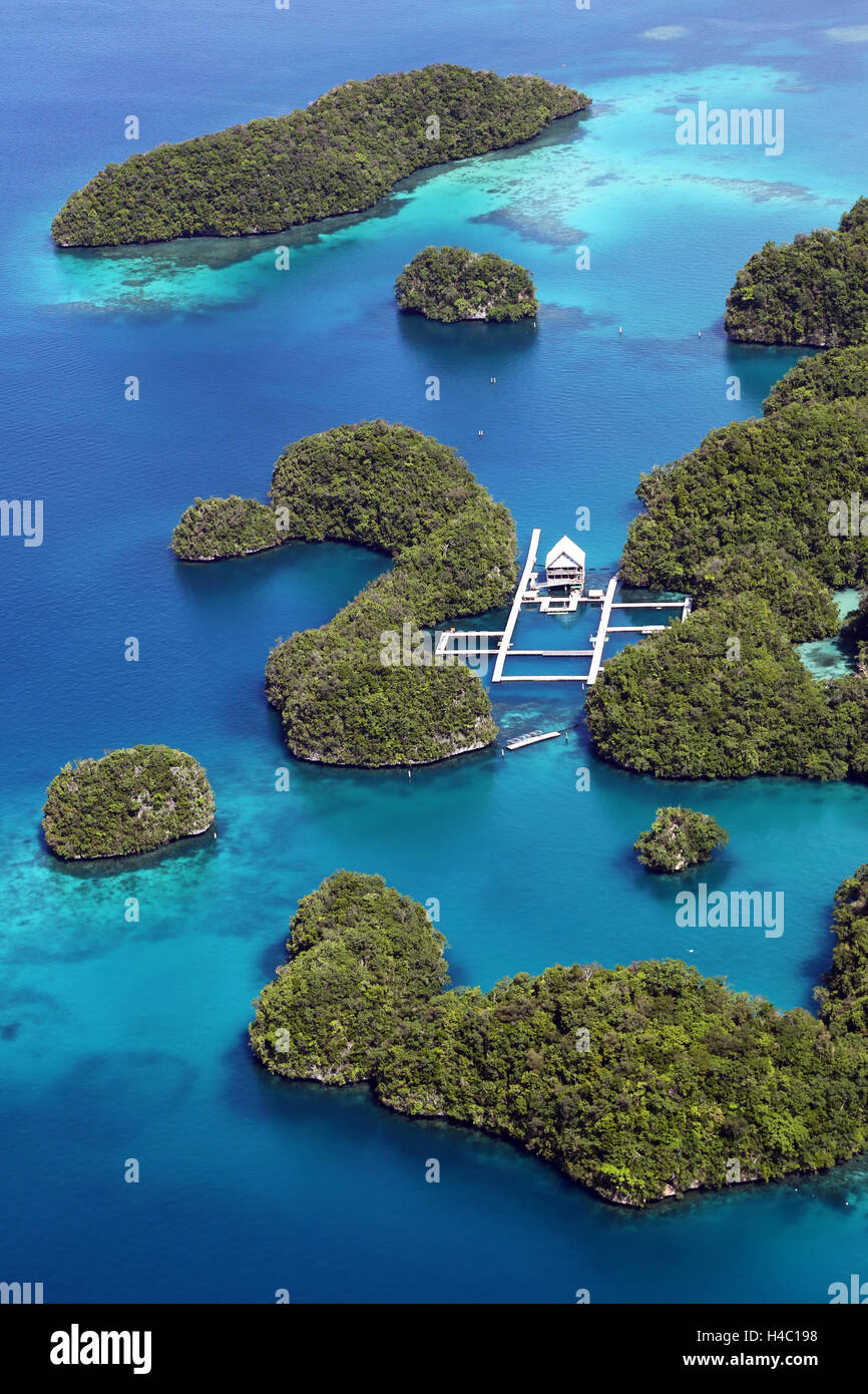 Aerial view of Dolphins of Palau, Republic of Palau, Micronesia ...