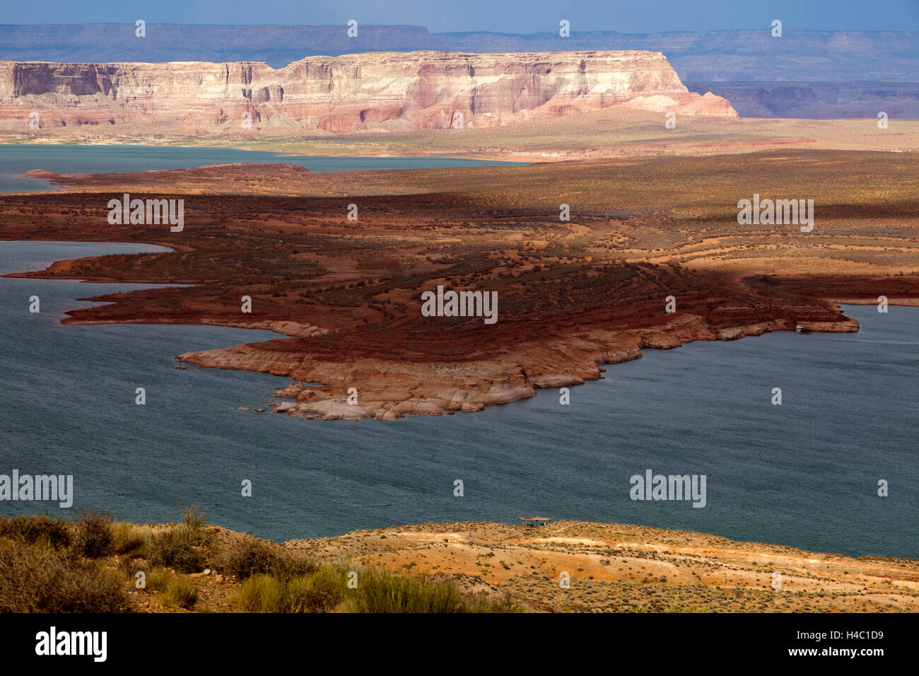 Panoramic view on famous lake Powell, Page, Utah, USA Stock Photo - Alamy