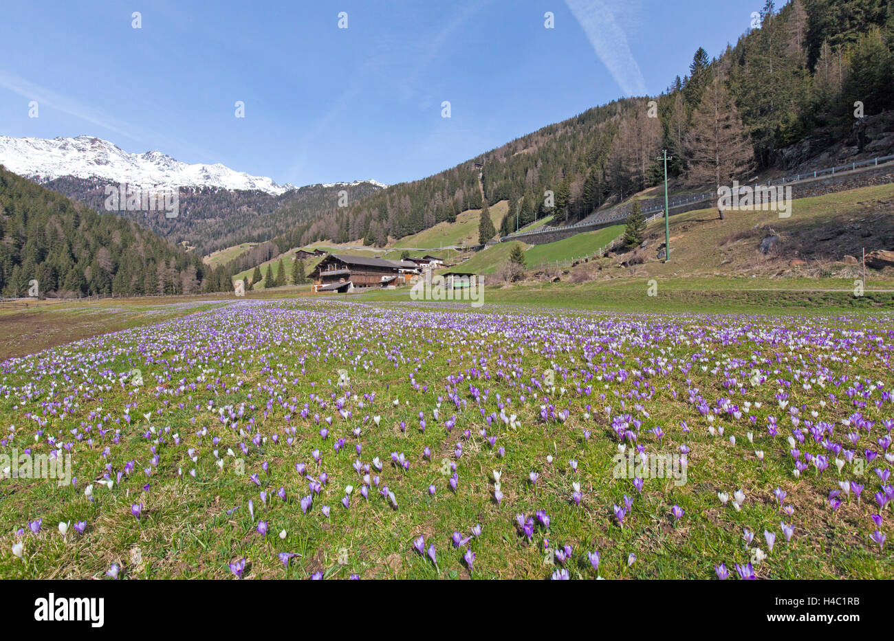 Meadow wood farms hi-res stock photography and images - Alamy