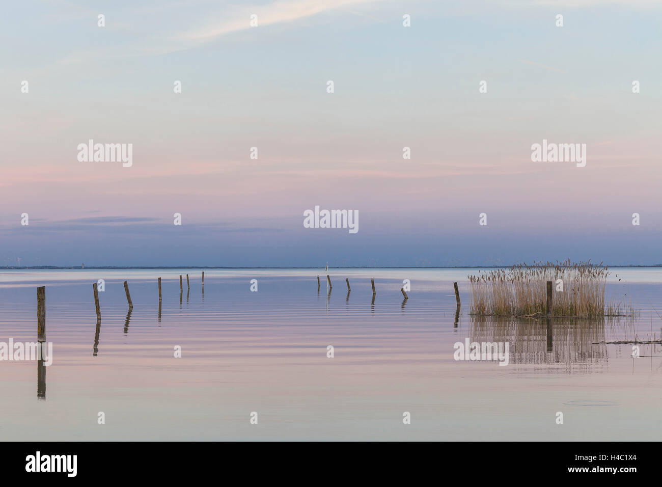 Lake neusiedl near purbach hi-res stock photography and images - Alamy
