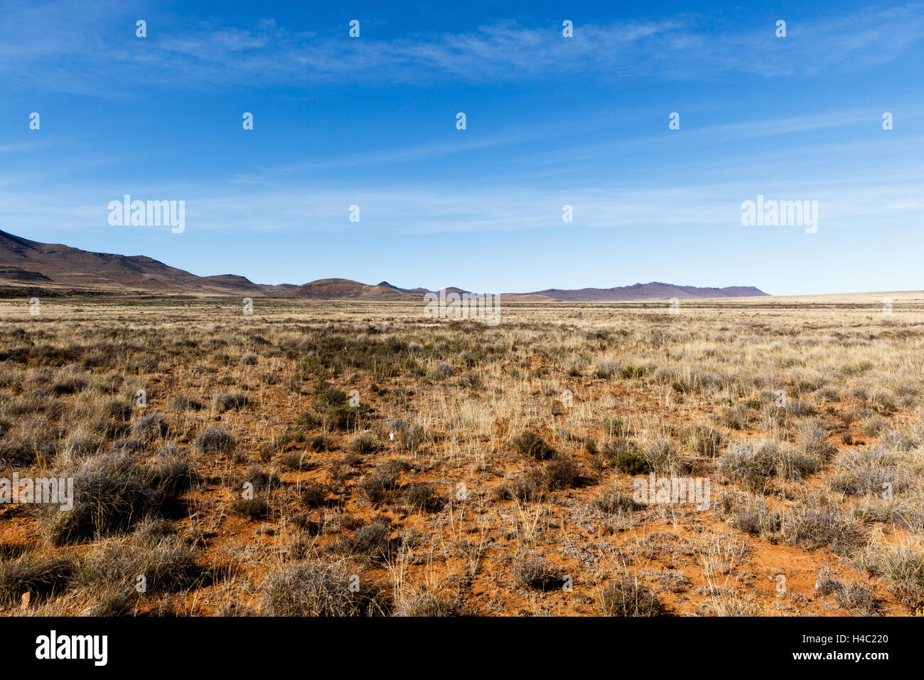 Yellow fields and mountains hi-res stock photography and images - Alamy