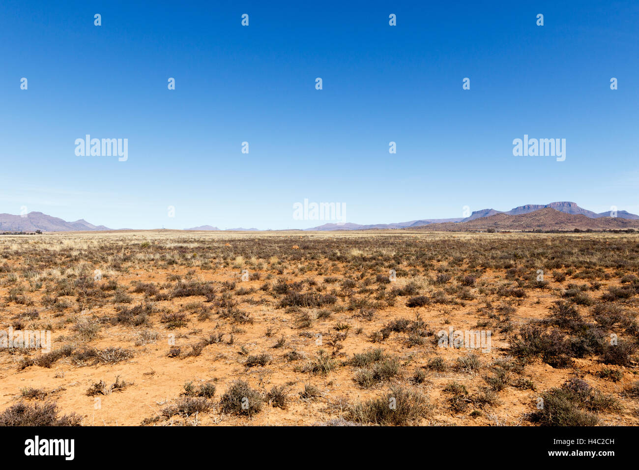 Barren field with mountains and blue sky in Cradock Stock Photo - Alamy