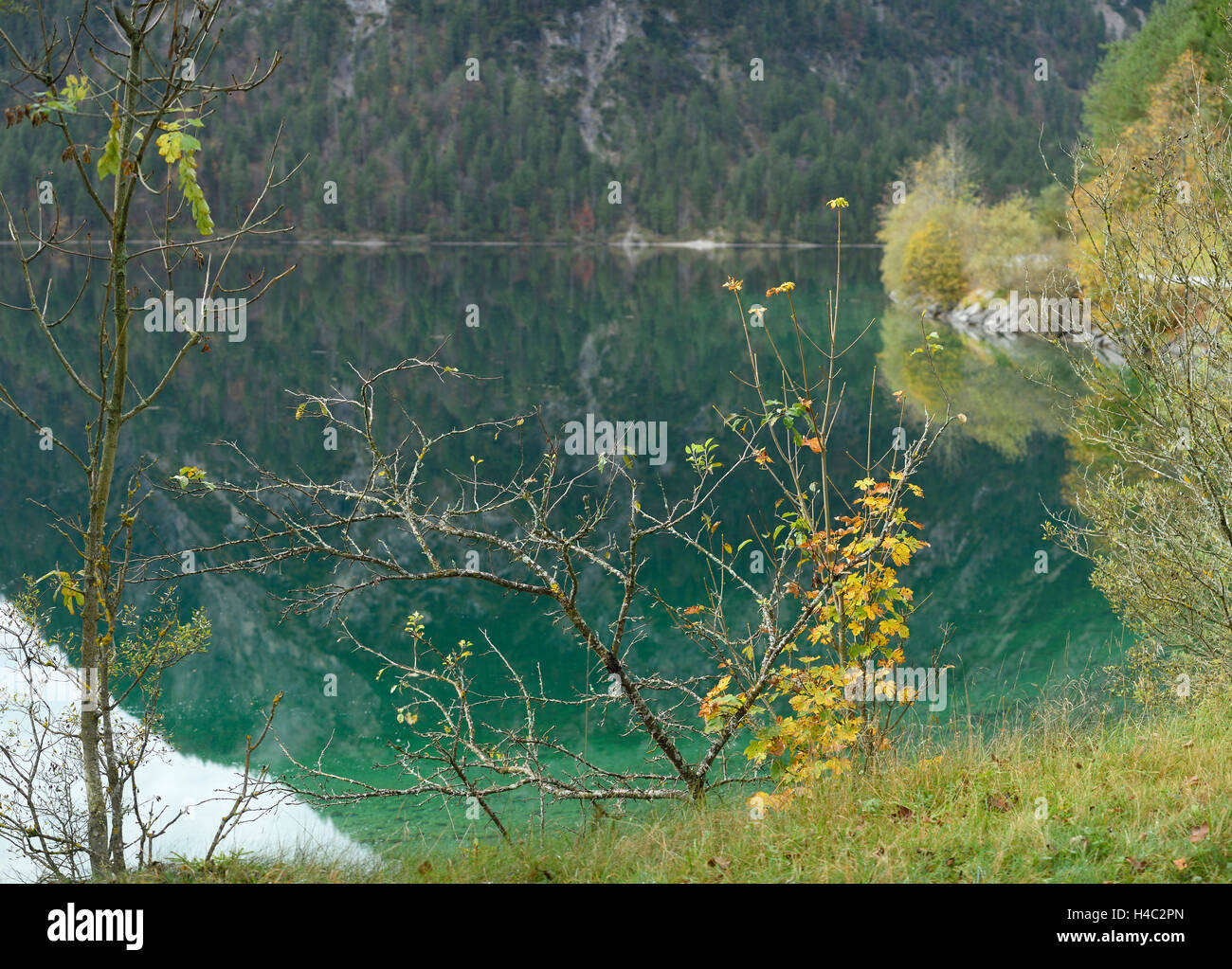 Landscape, lake, waterside, clear Stock Photo - Alamy