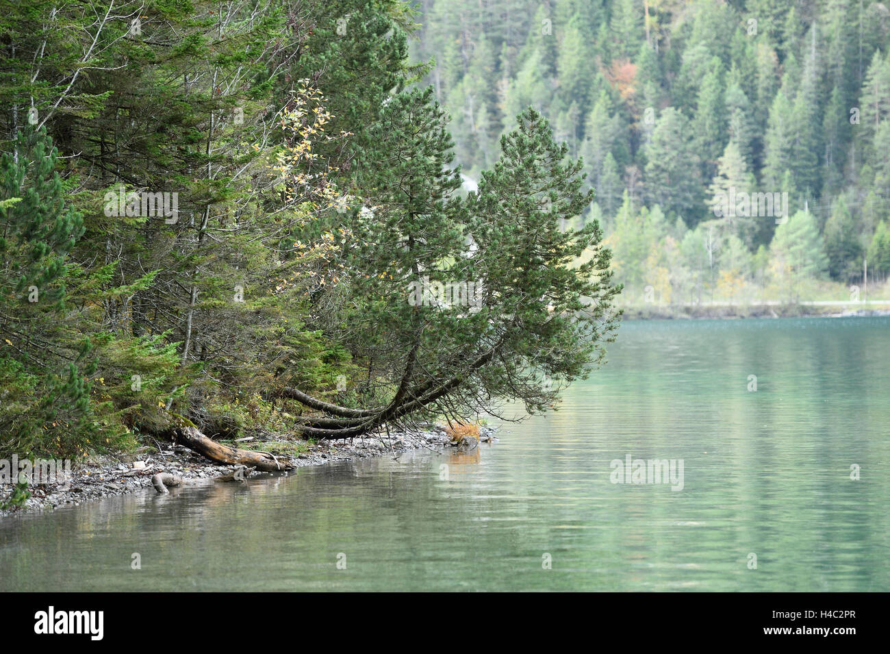 Landscape, lake, waterside, clear Stock Photo - Alamy