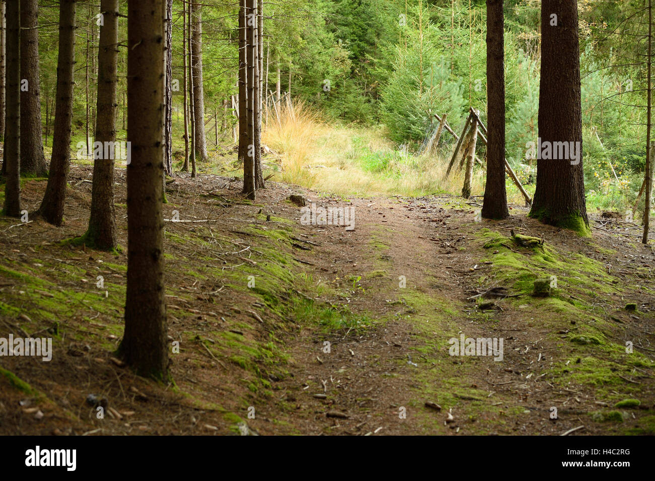 Spruce run hi-res stock photography and images - Alamy