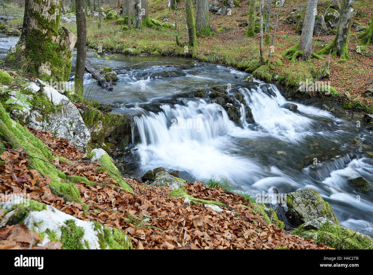 Waterfalls, brook, water, flowing, autumn Stock Photo - Alamy