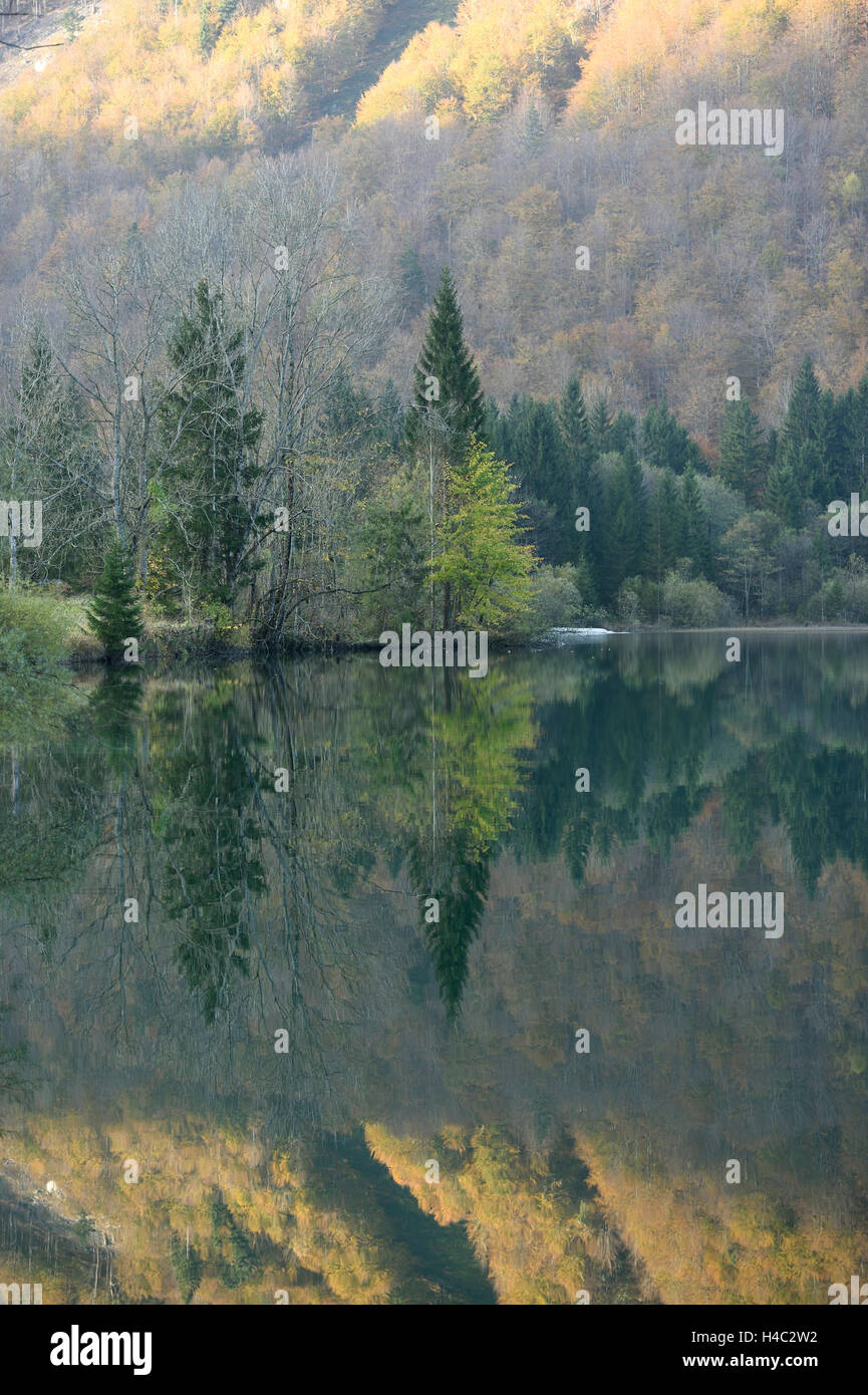 Langbathsee, waterside, shore, mixed forest, reflection, autumn Stock ...