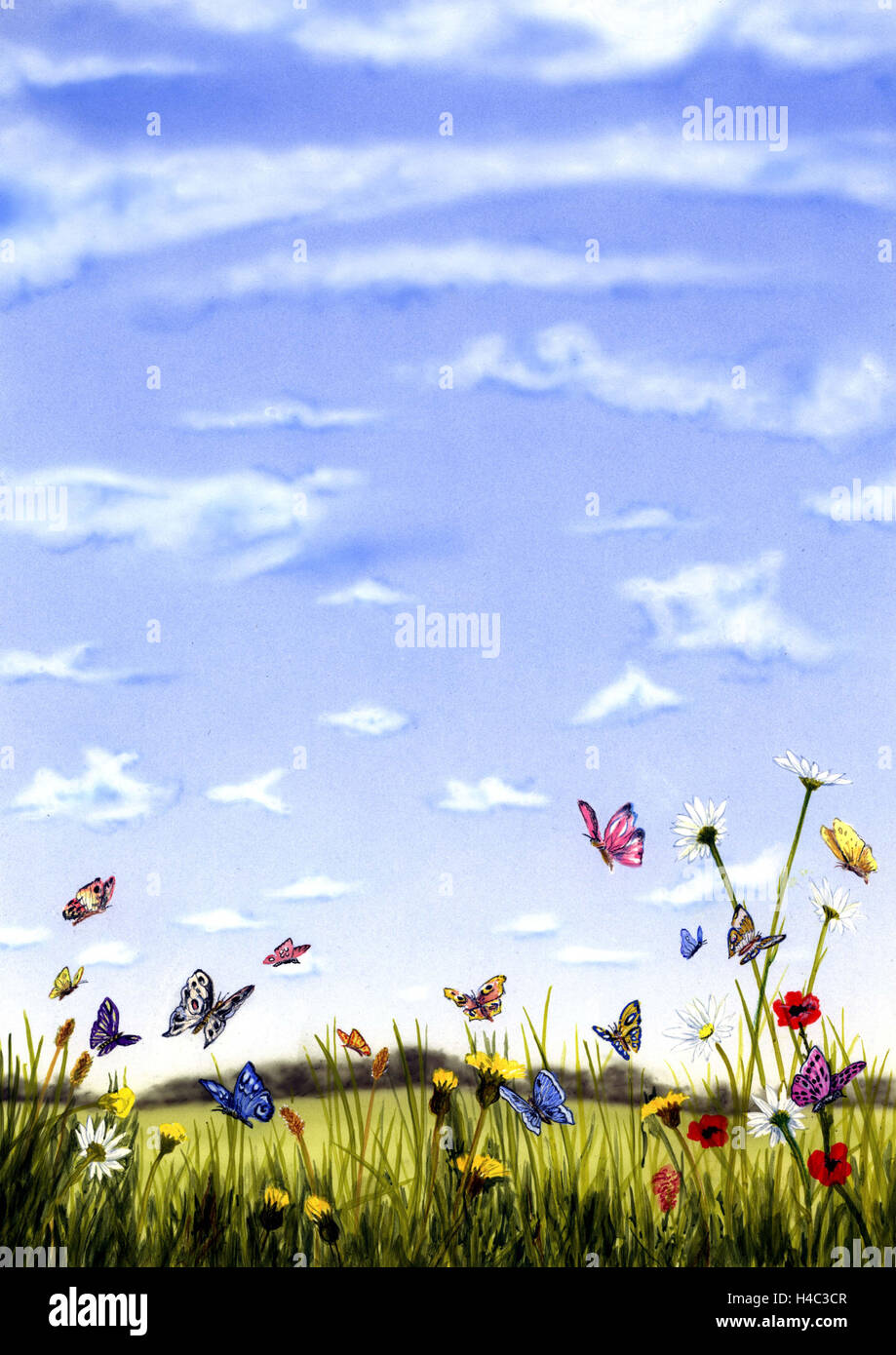 Colourful summer meadow with butterflies Stock Photo - Alamy