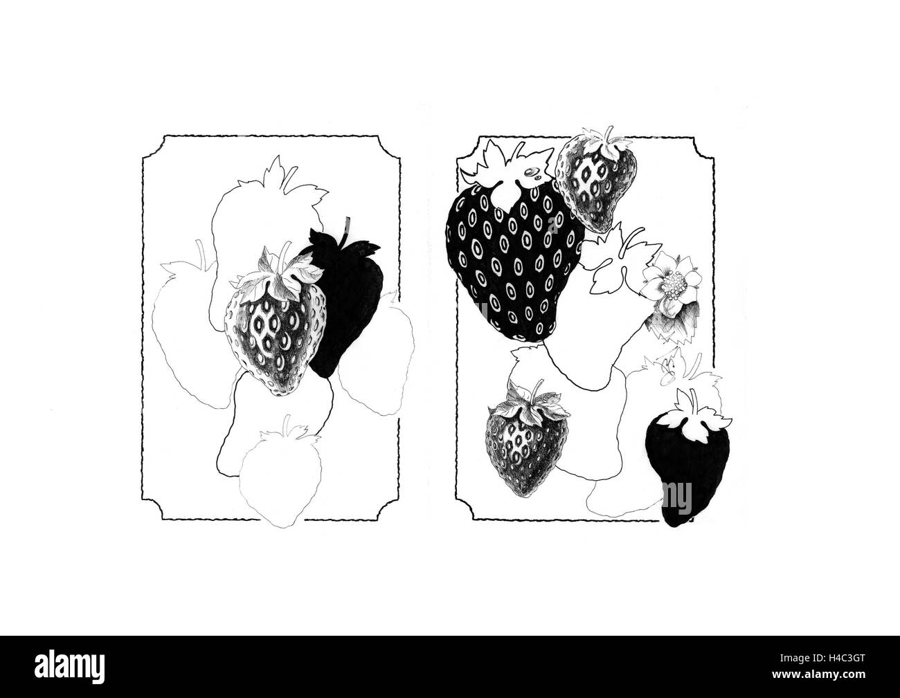 Strawberry menu card Stock Photo - Alamy