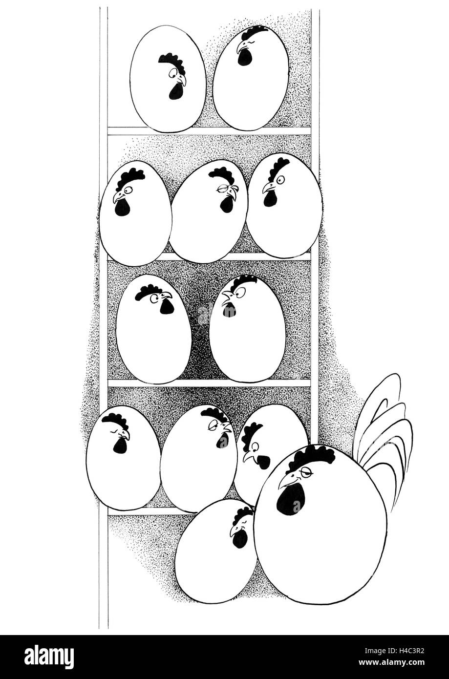 Chicken Ladder High Resolution Stock Photography and Images - Alamy