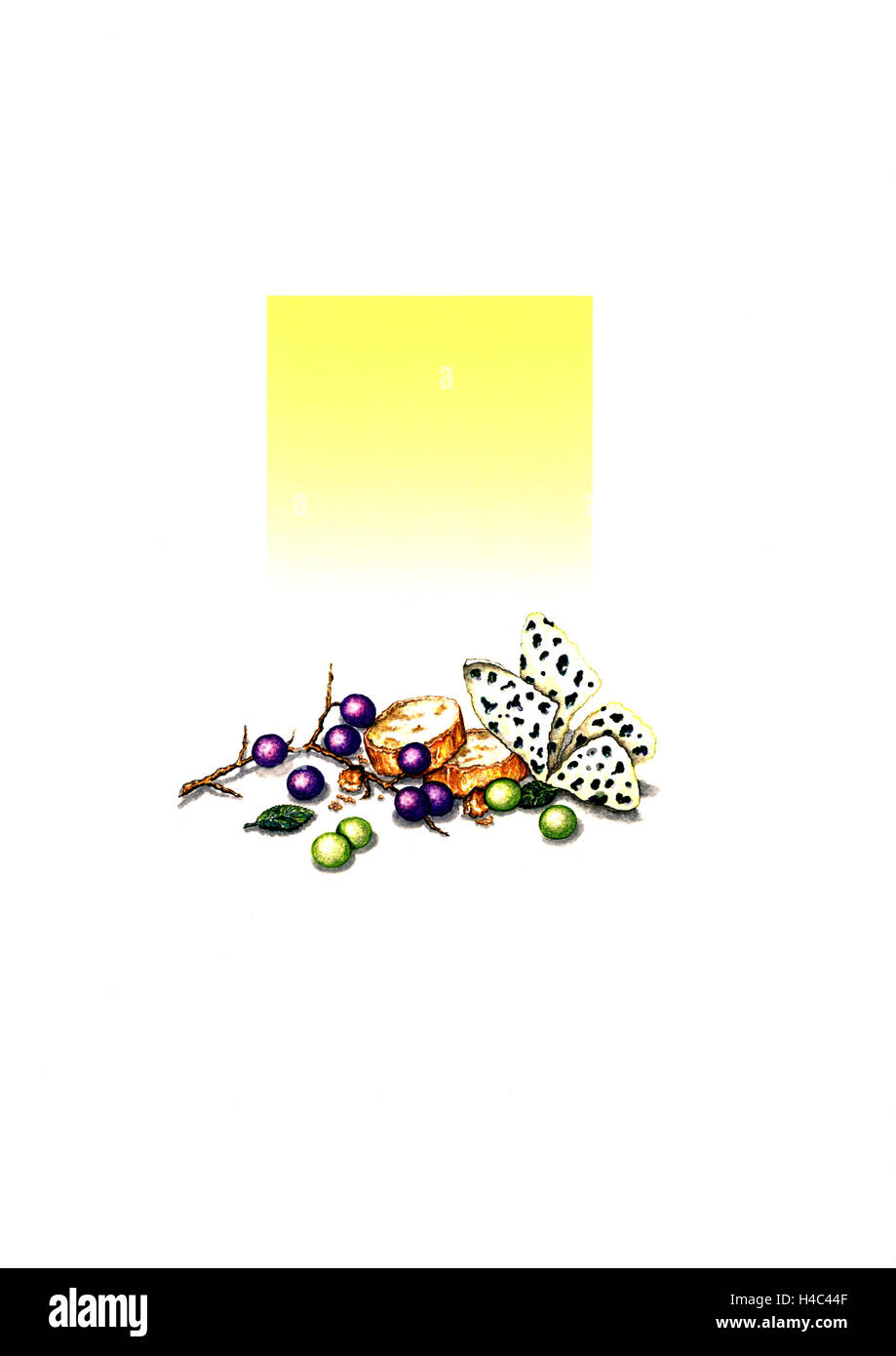 Menu card with berries and cheese Stock Photo - Alamy