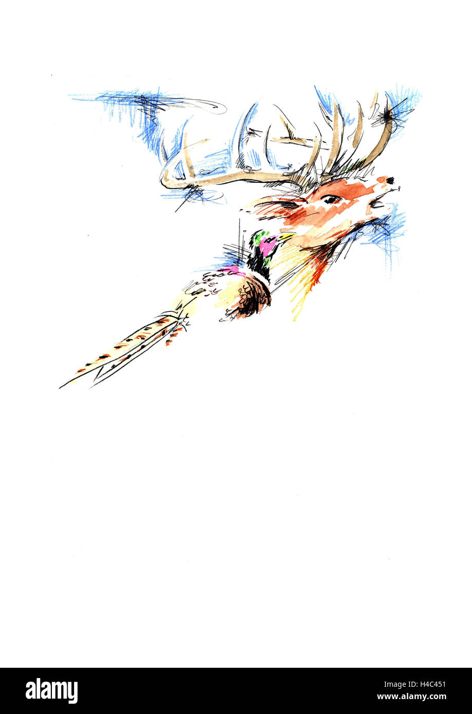 Deer mating Cut Out Stock Images & Pictures - Alamy