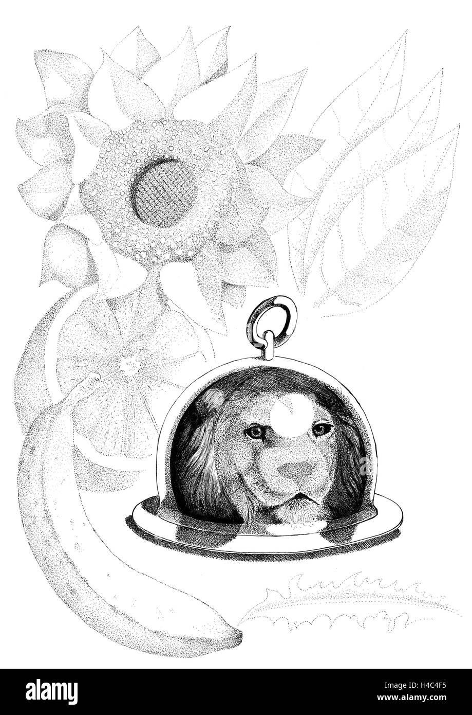 Sign leo Cut Out Stock Images & Pictures - Alamy