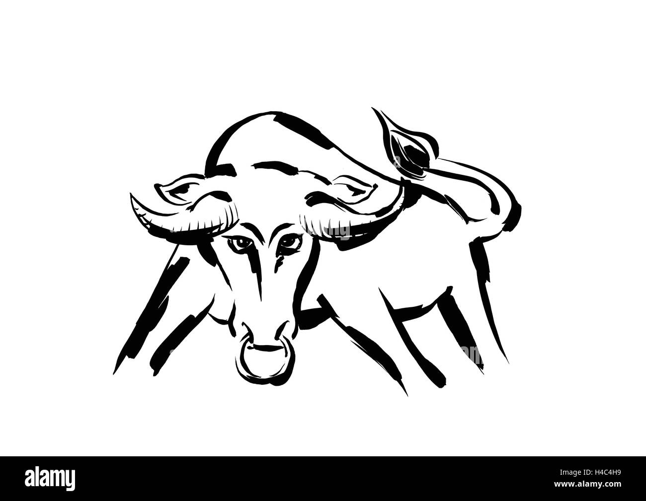 Bull with ring in nose hi-res stock photography and images - Alamy