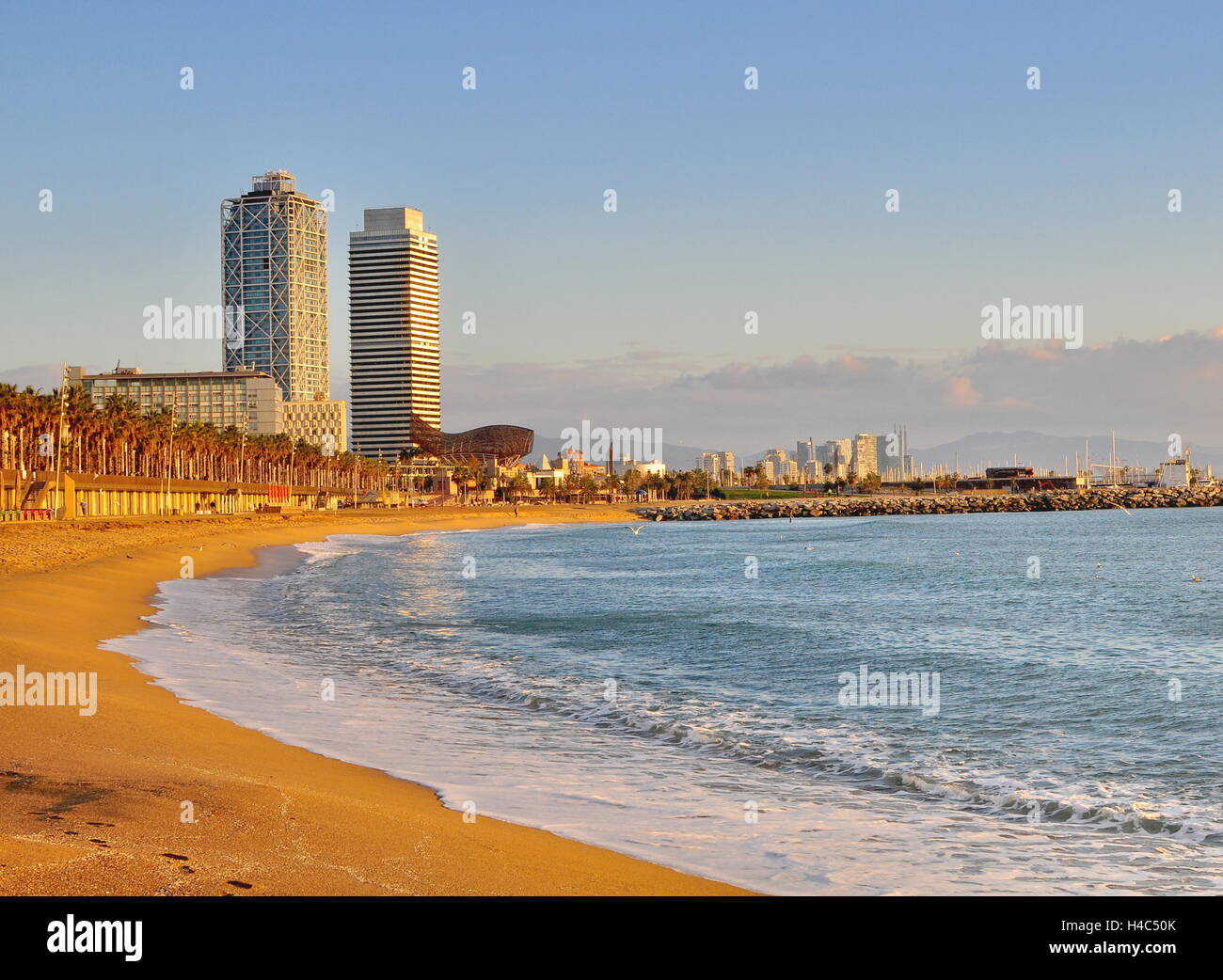 Empty beach of Barcelona on the daybreak, Spain Stock Photo - Alamy