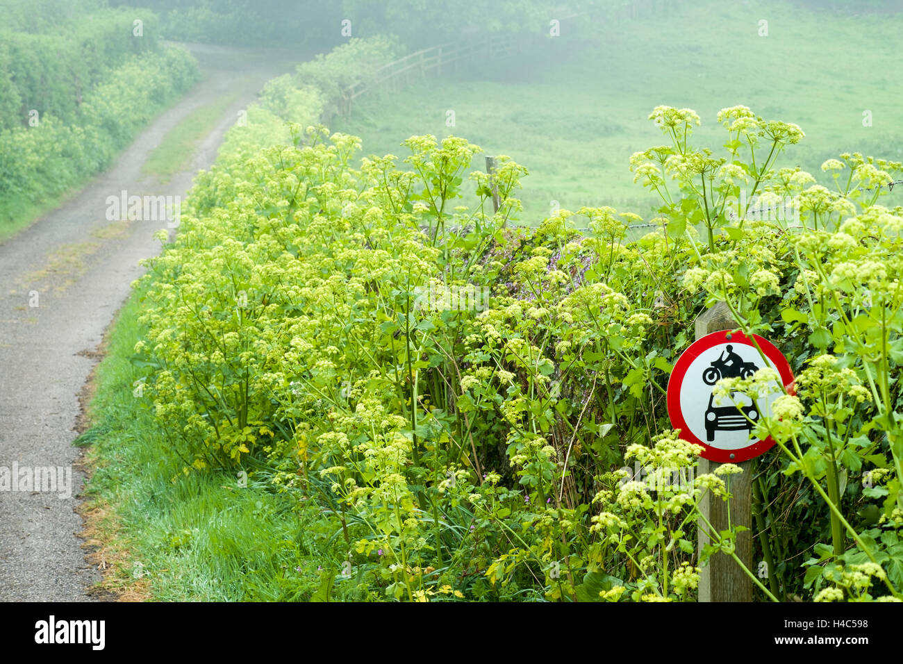 Country lane in early spring with road sign Stock Photo - Alamy