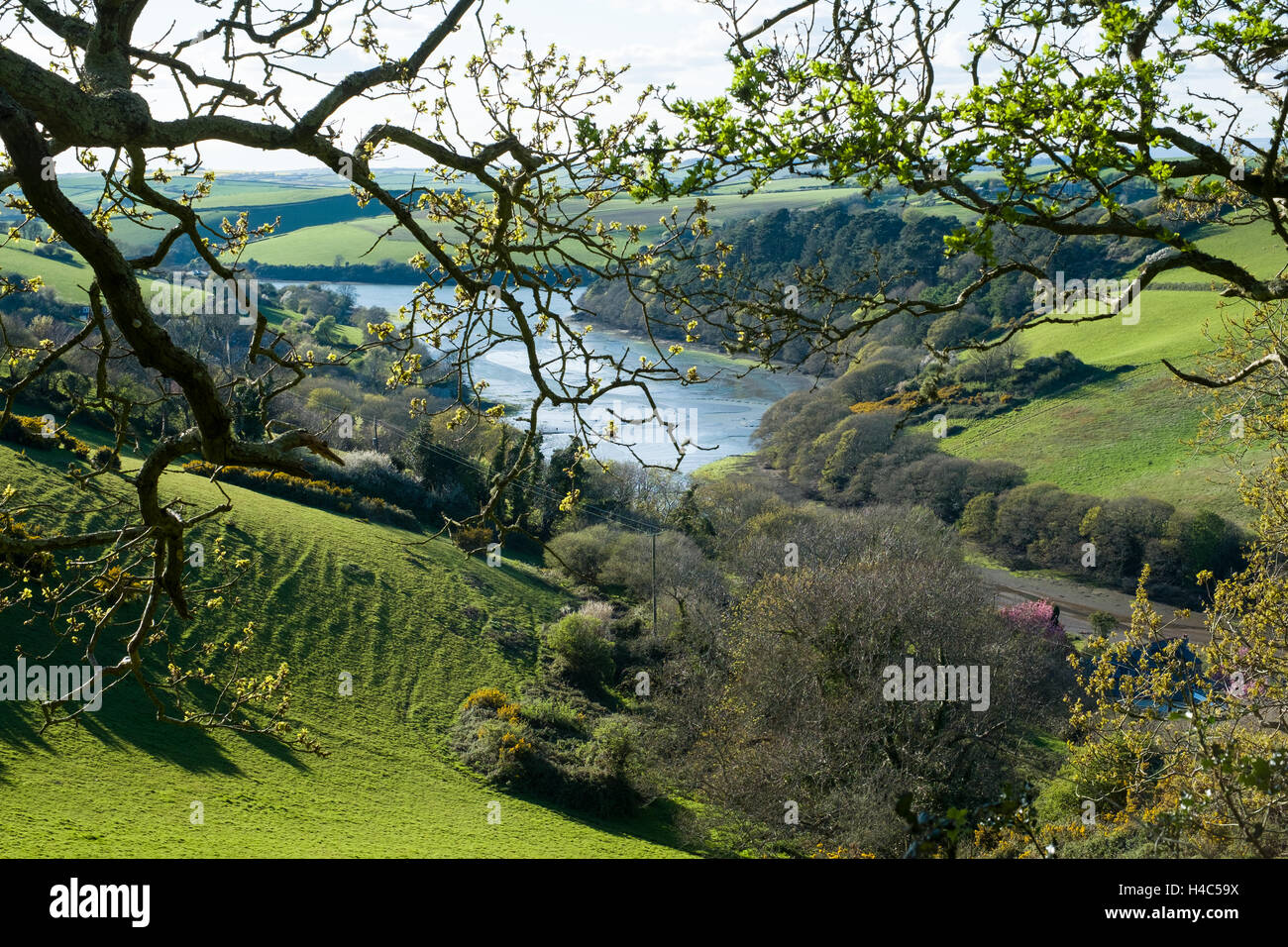 Waterhead creek hi-res stock photography and images - Alamy