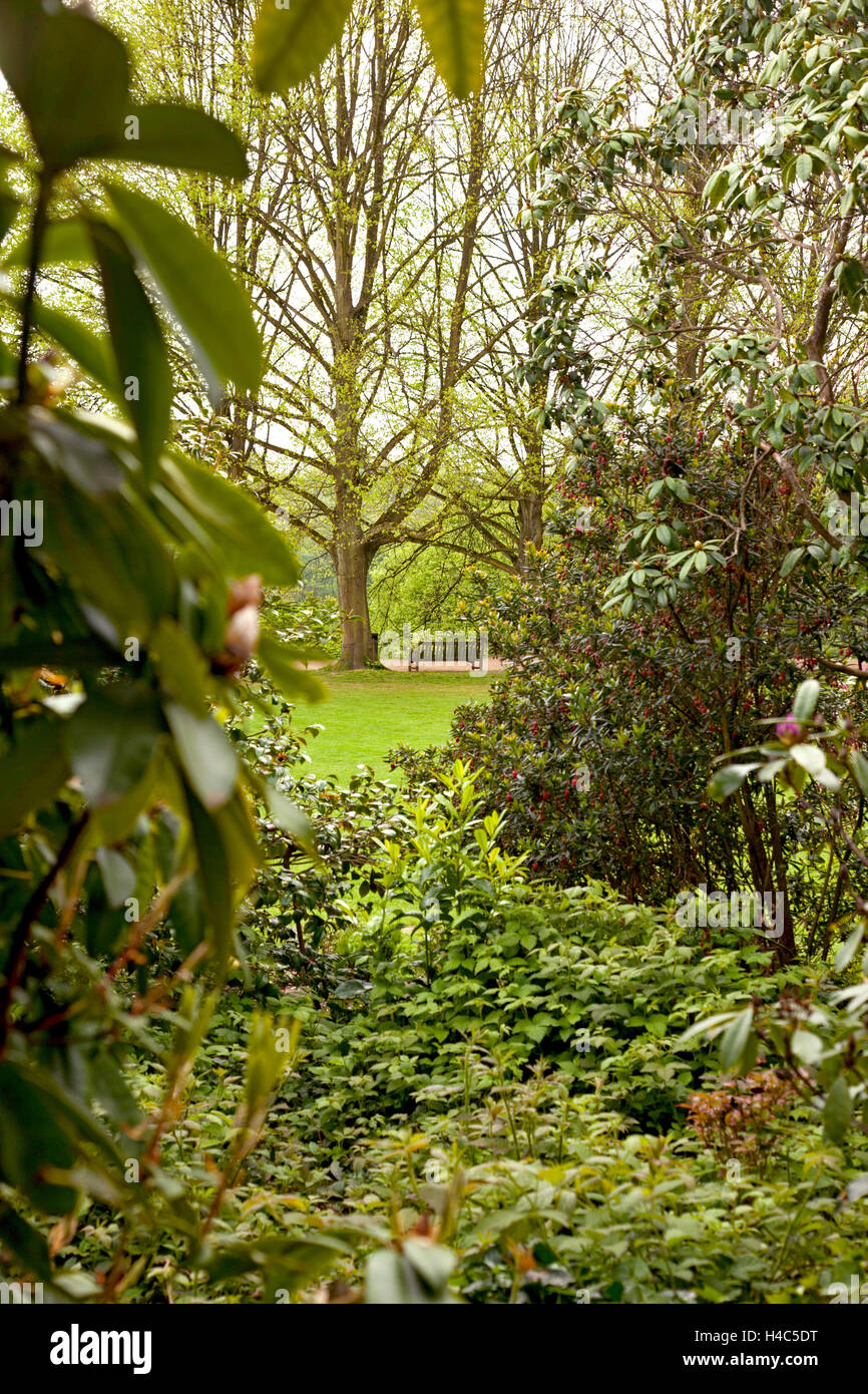 Great Britain, London, grass, park, garden, spring Stock Photo - Alamy