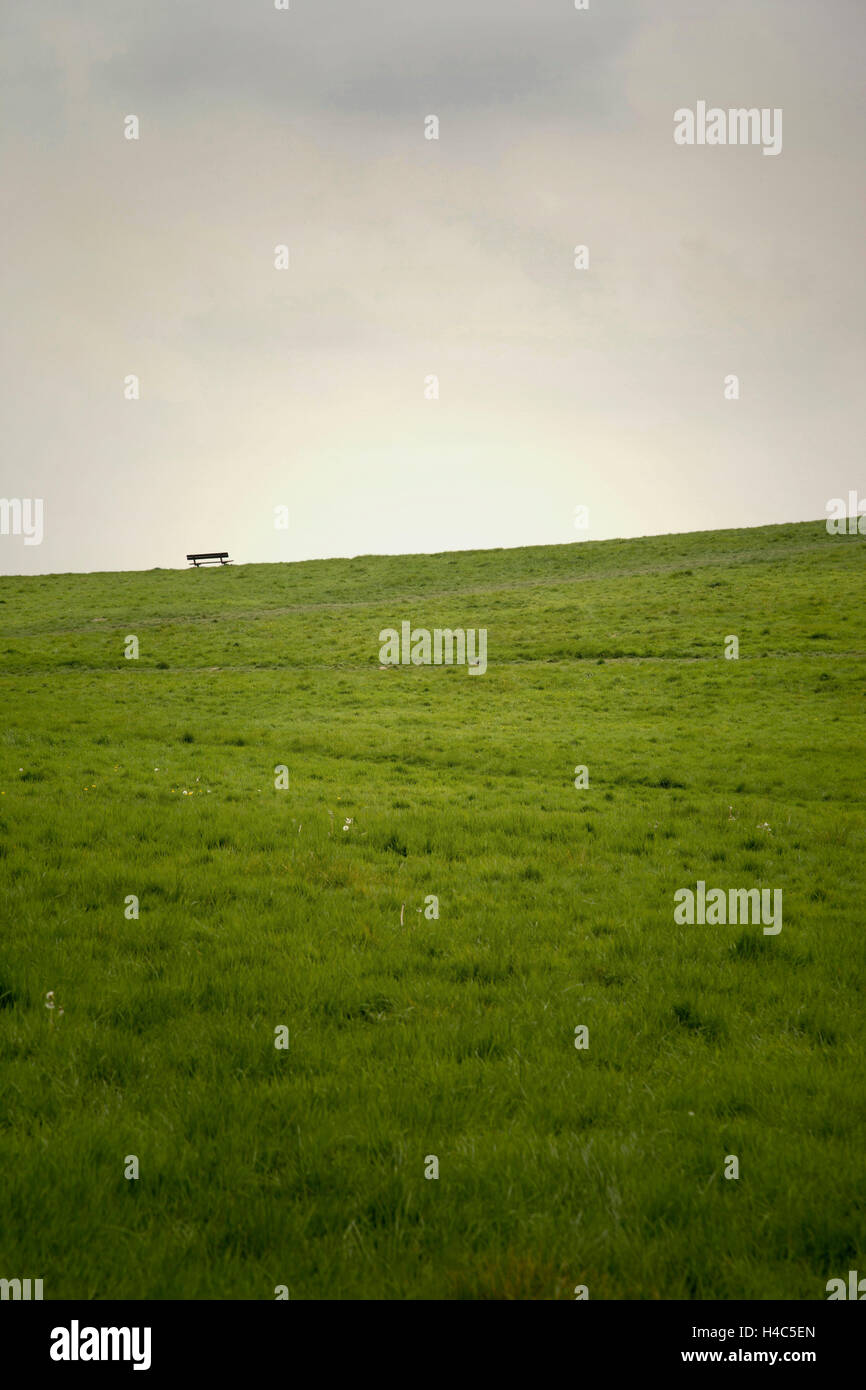 Great Britain, London, park, spring, grass, meadow Stock Photo - Alamy