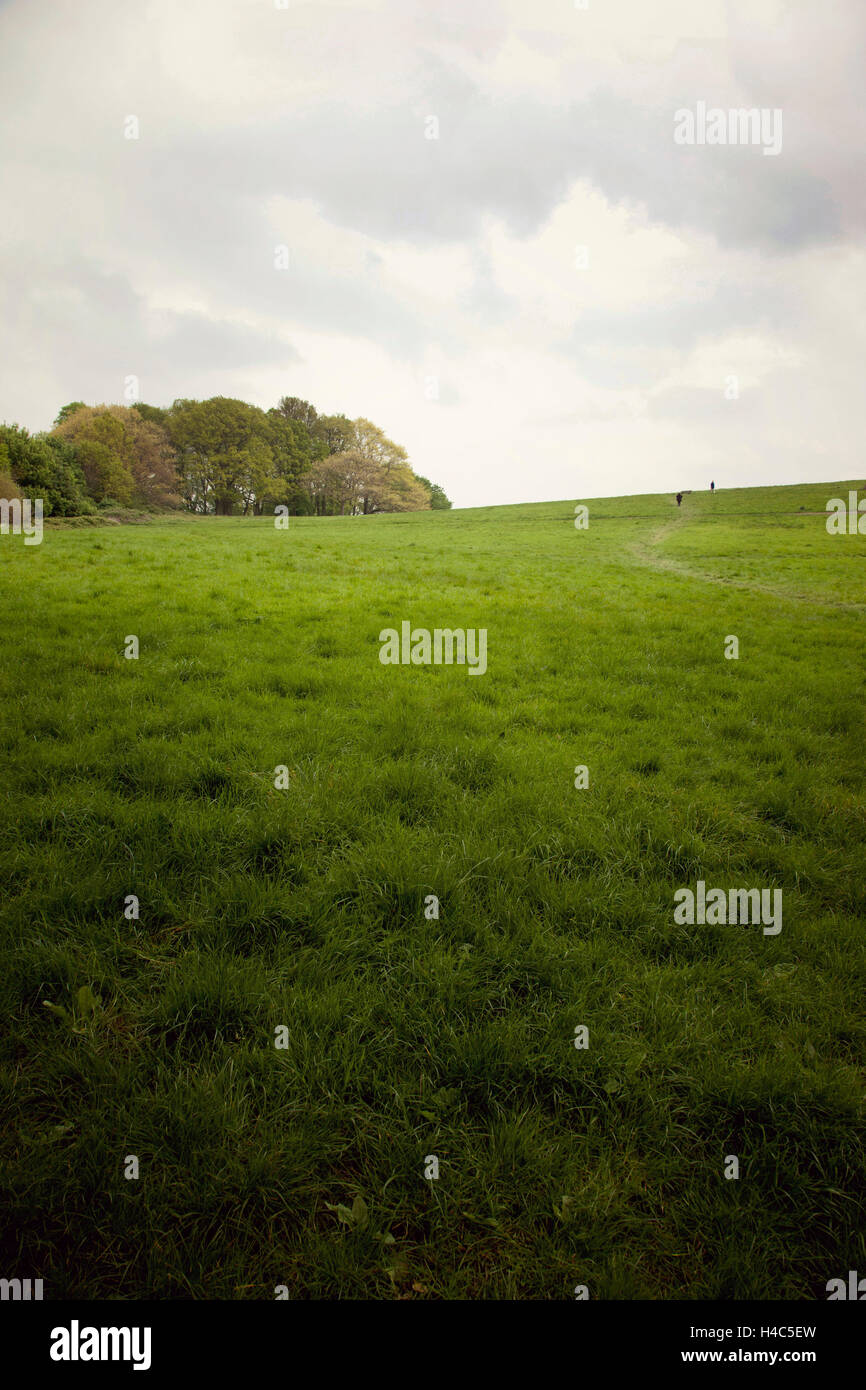 Great Britain, London, park, spring, grass, meadow Stock Photo - Alamy