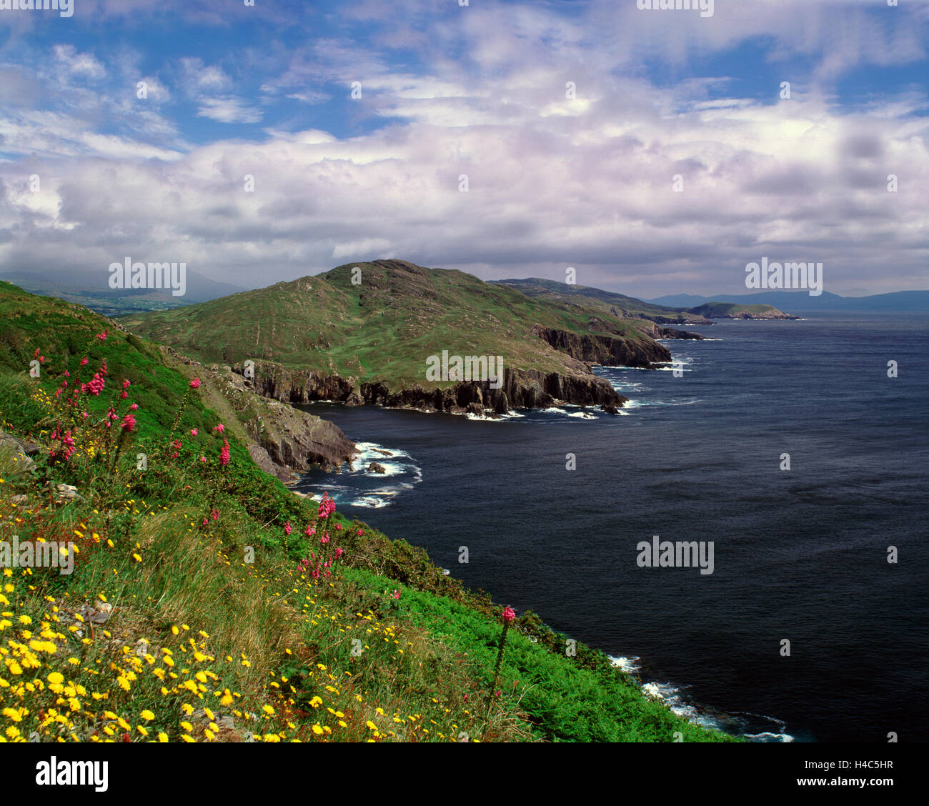 Bantry Bay, County Cork, Ireland Stock Photo - Alamy