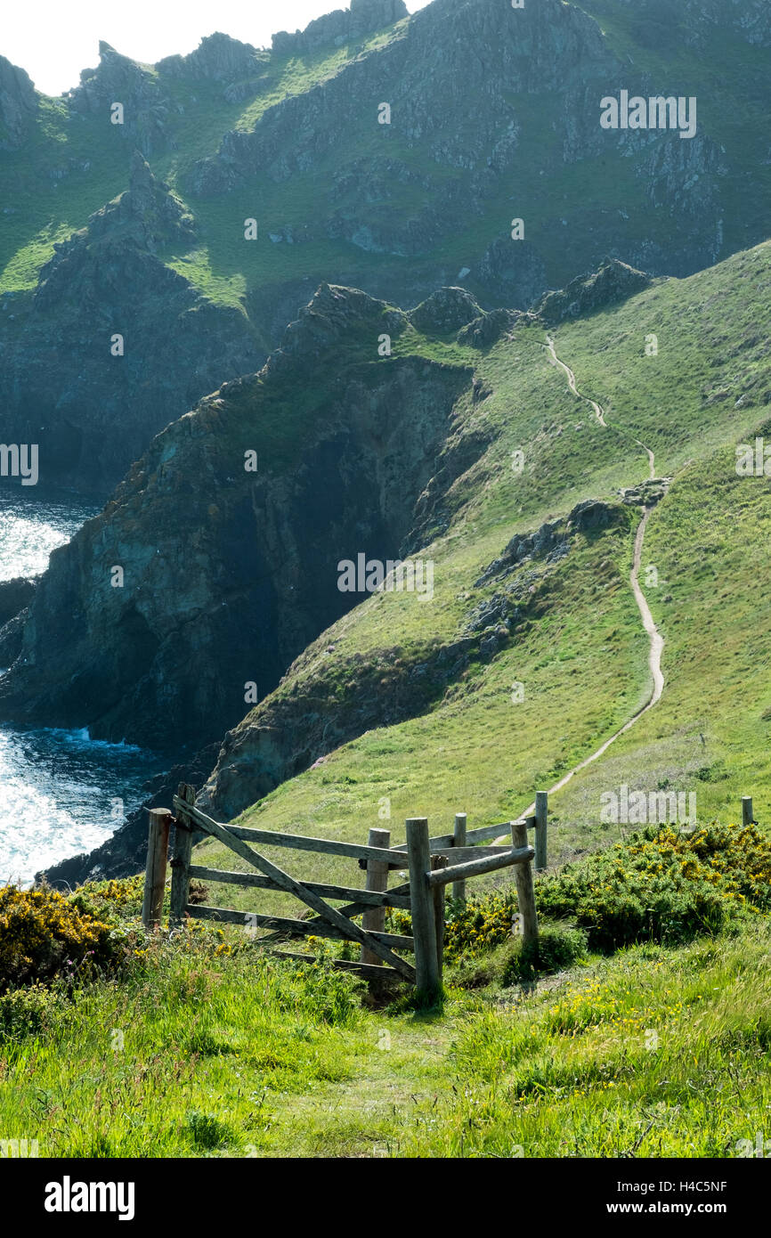 South West Coast Path at Prawle Point, South Devon Stock Photo - Alamy