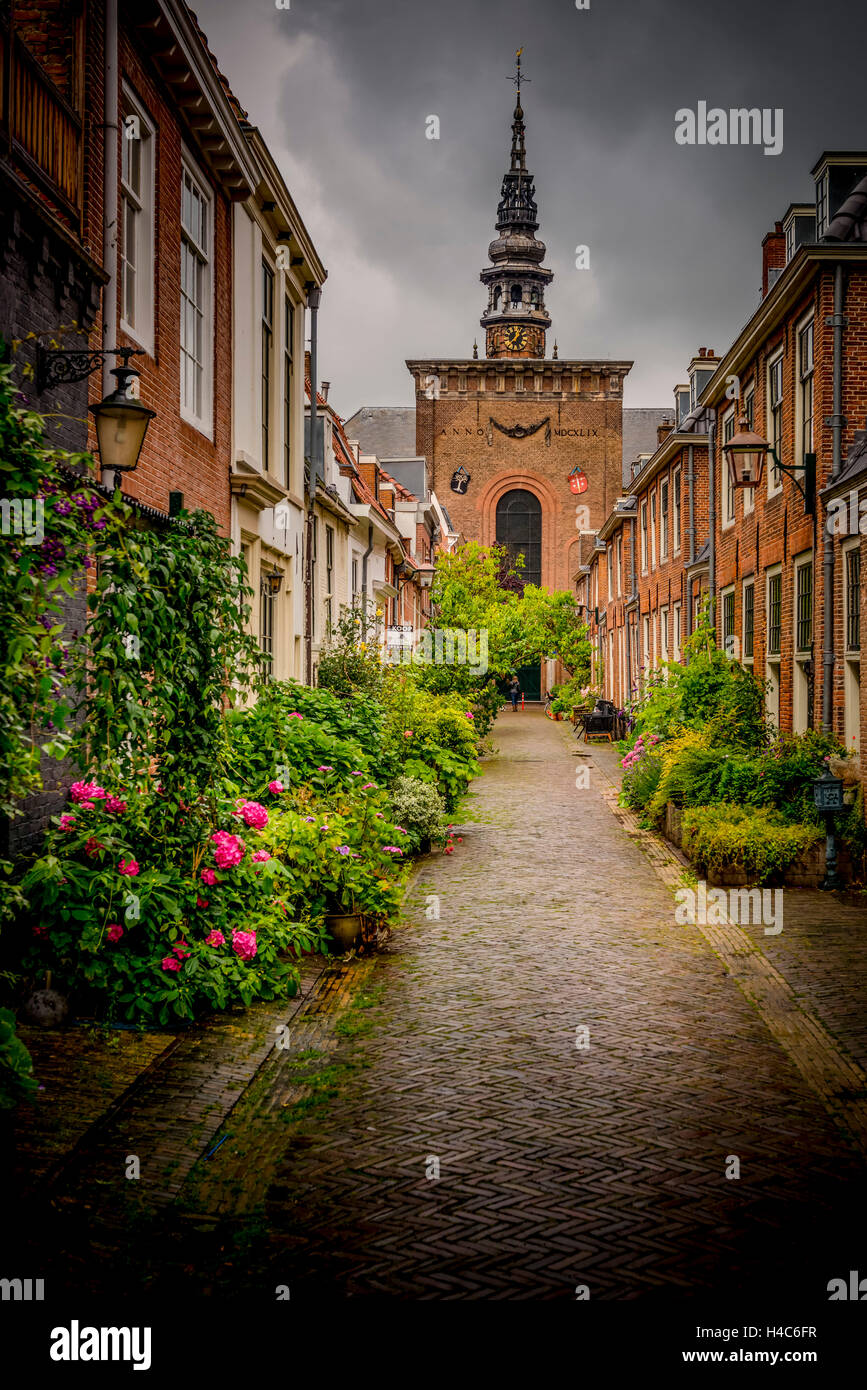 The Netherlands, Haarlem, street, lane Stock Photo - Alamy