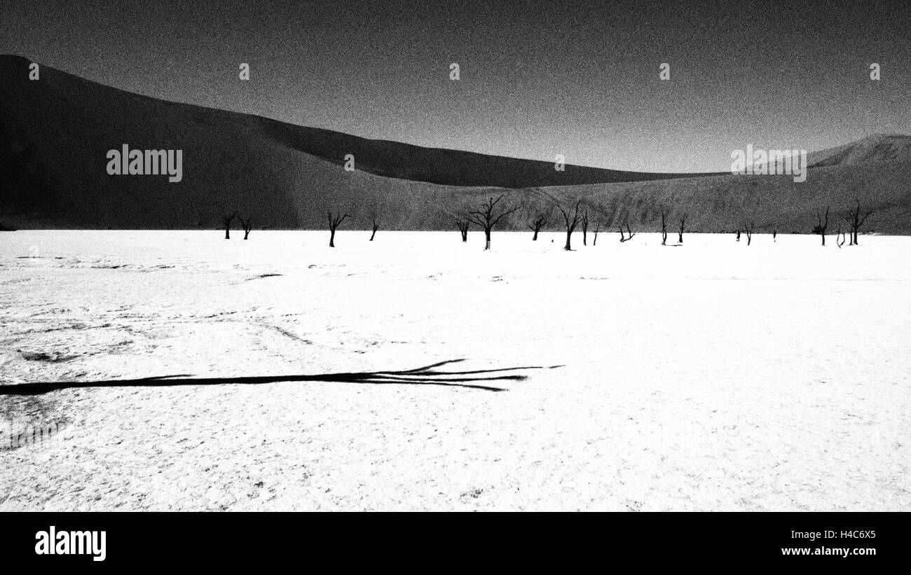 Deadvlei, Sesriem, Namibia Stock Photo - Alamy