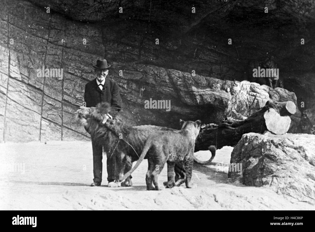 Carl hagenbeck zoo Black and White Stock Photos & Images - Alamy