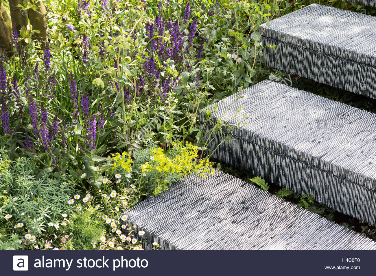 Slate Steps Stock Photos & Slate Steps Stock Images - Alamy