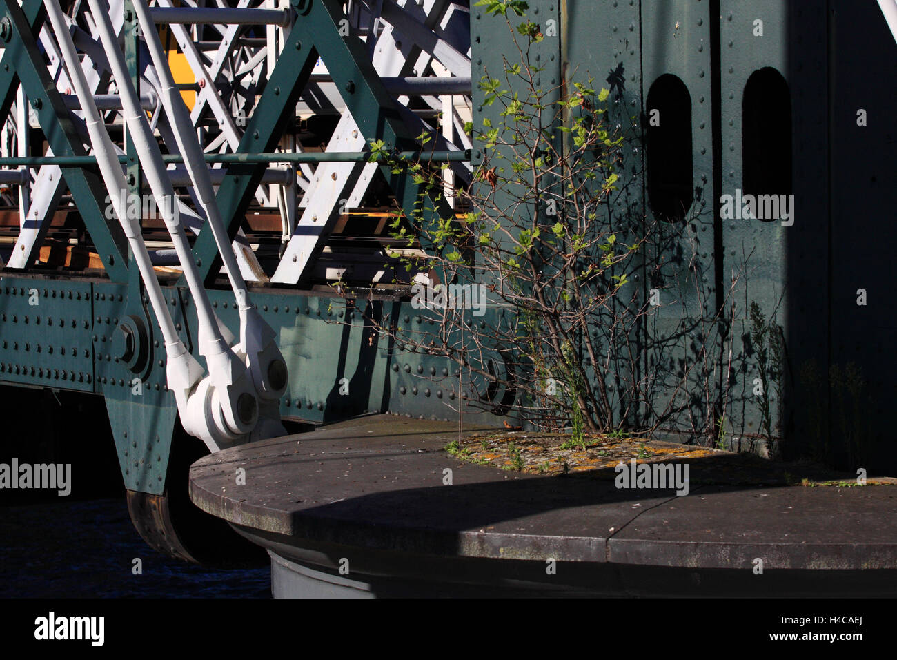 A shrub grows out of the structure of The Golden Jubilee Bridge, which ...