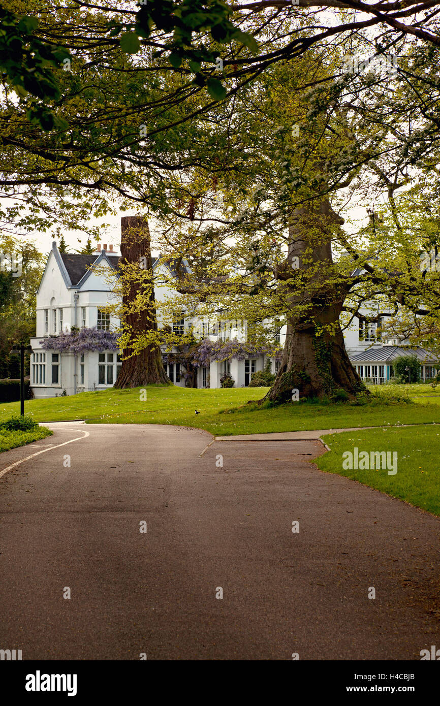 Spring street community garden hi-res stock photography and images - Alamy
